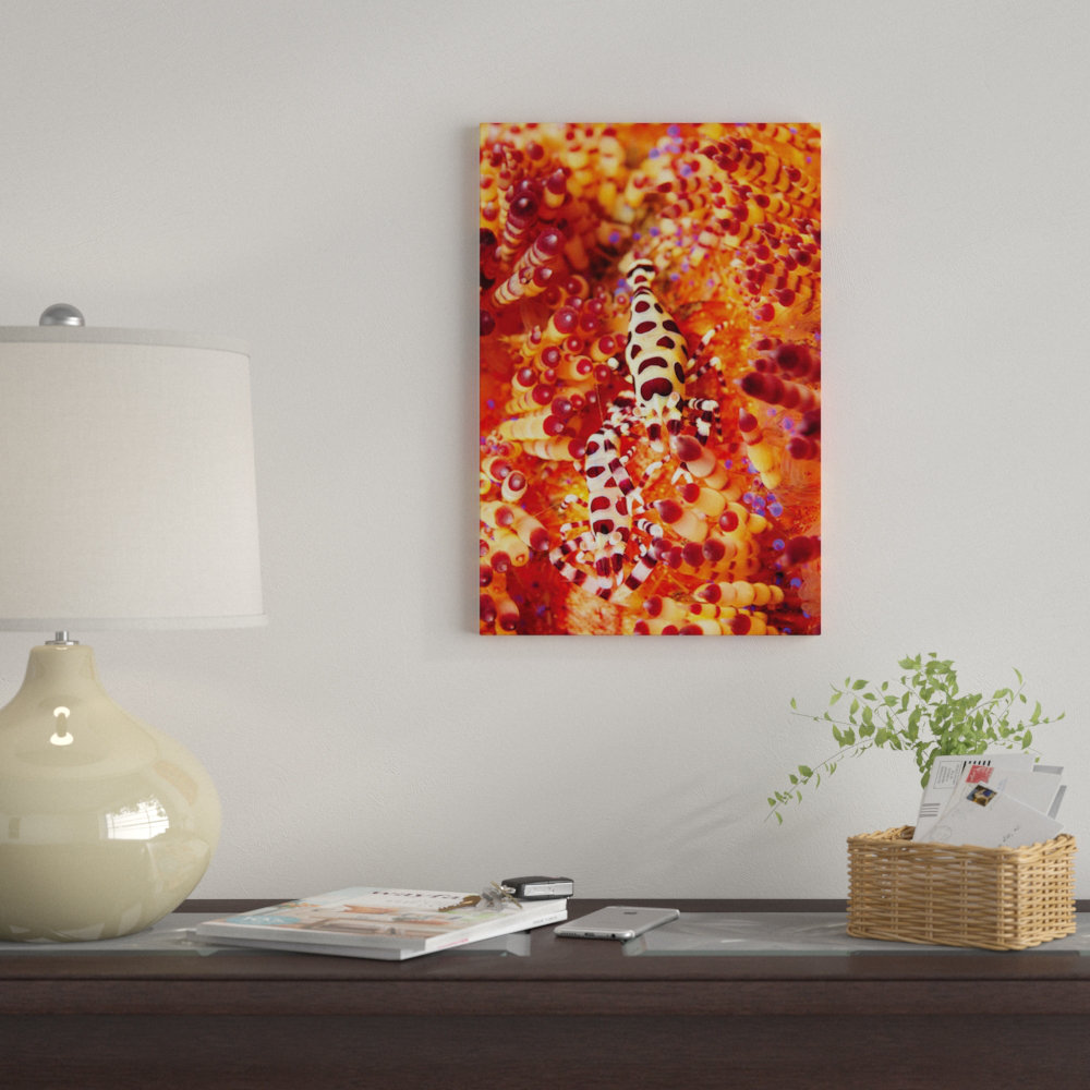 East Urban Home « paires de crevettes de coleman sur un feu rouge et ...