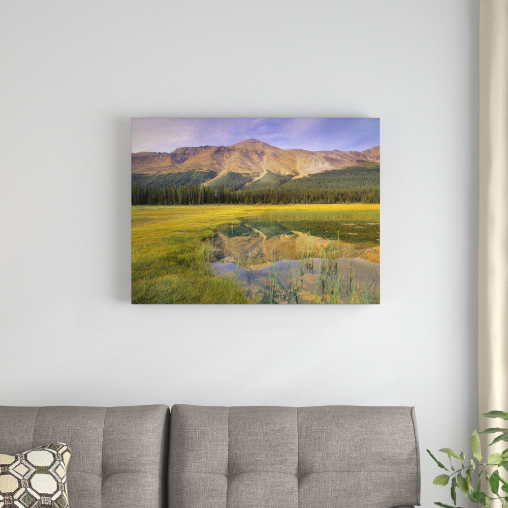 East Urban Home 'Observation Peak and Coniferous Forest Reflected ...