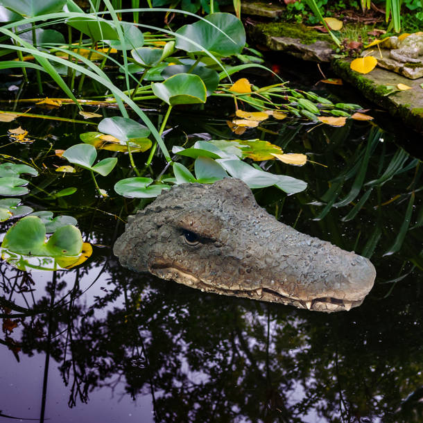 Design Toscano The Agitated Alligator Swamp Gator Statue & Reviews ...