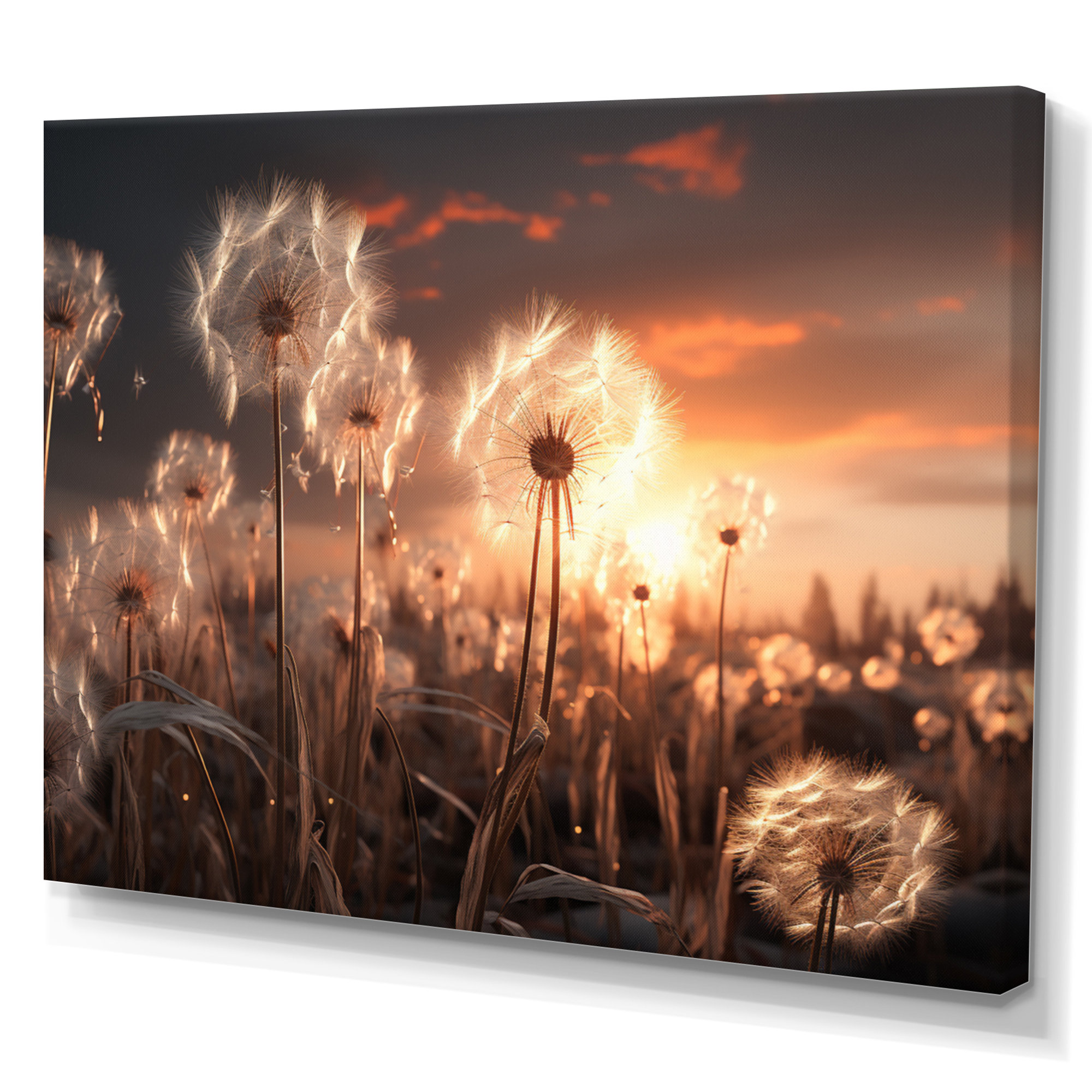 Red Barrel Studio® Sunset Dandelion Field III On Canvas Print | Wayfair