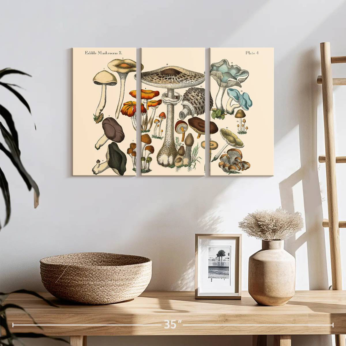 Elephant Stock Edible Mushrooms | Wayfair