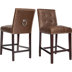 Darby Home Co Audrick Bar & Counter Stool & Reviews | Wayfair