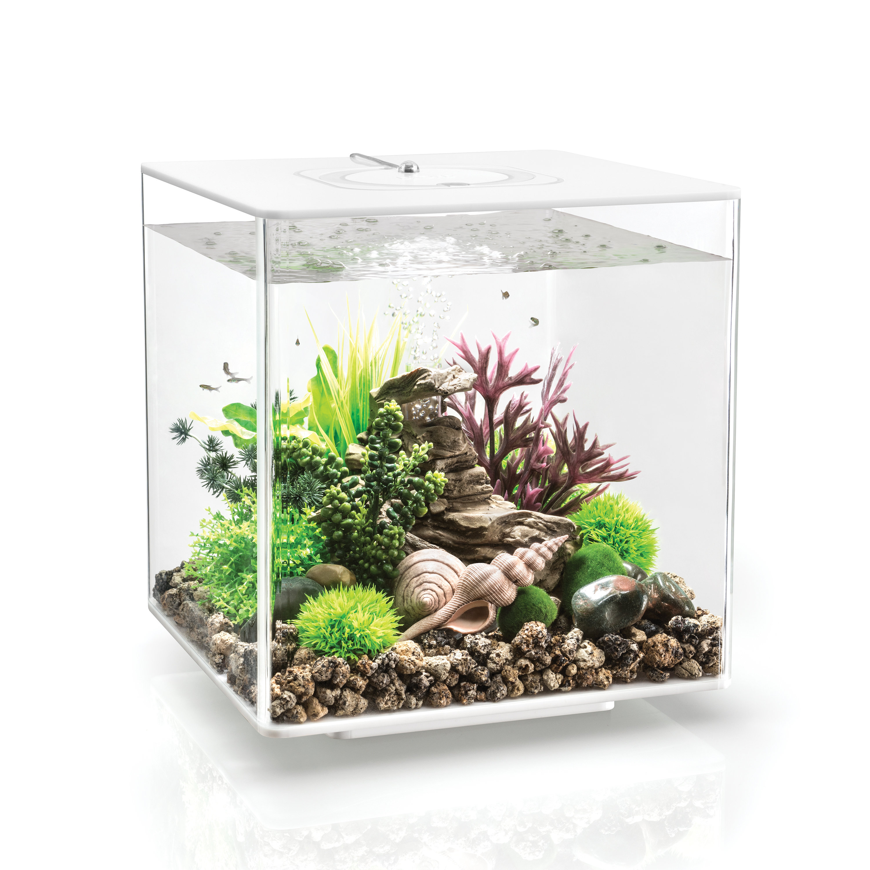 biOrb 8 Gallon Square Aquarium Tank with MCR Light | Wayfair