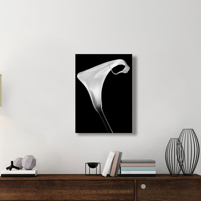 East Urban Home 'Calla' Graphic Art Print On Wrapped Canvas - Wayfair ...