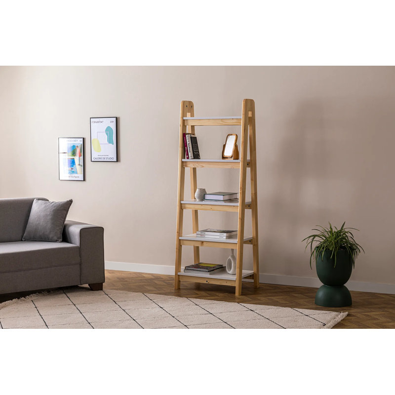 Latitude Run® Pratik Ladder Bookcase | Wayfair