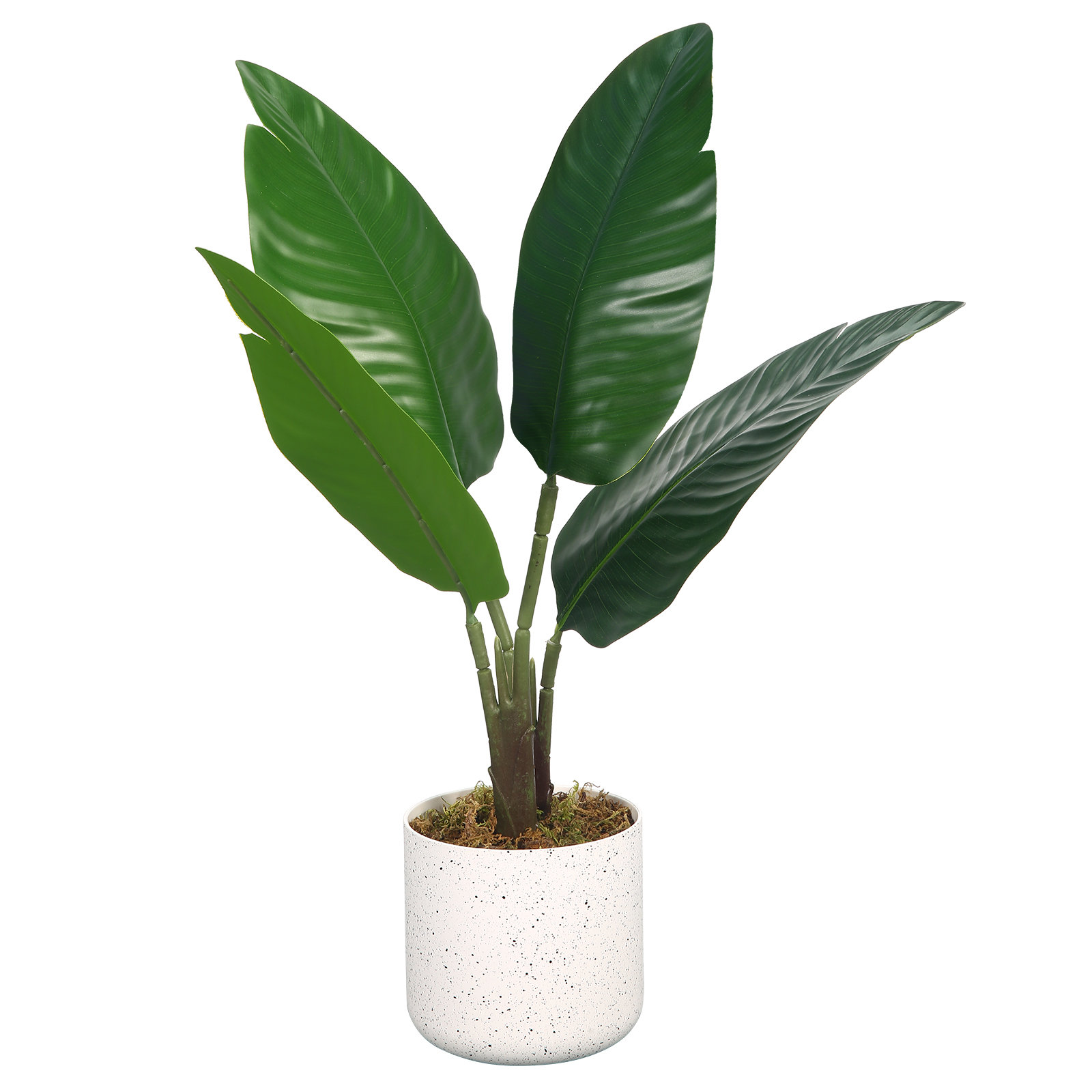 Ebern Designs 19.7" Artificial Mini Traveler’s Palm Plant in Pot – 2 ...