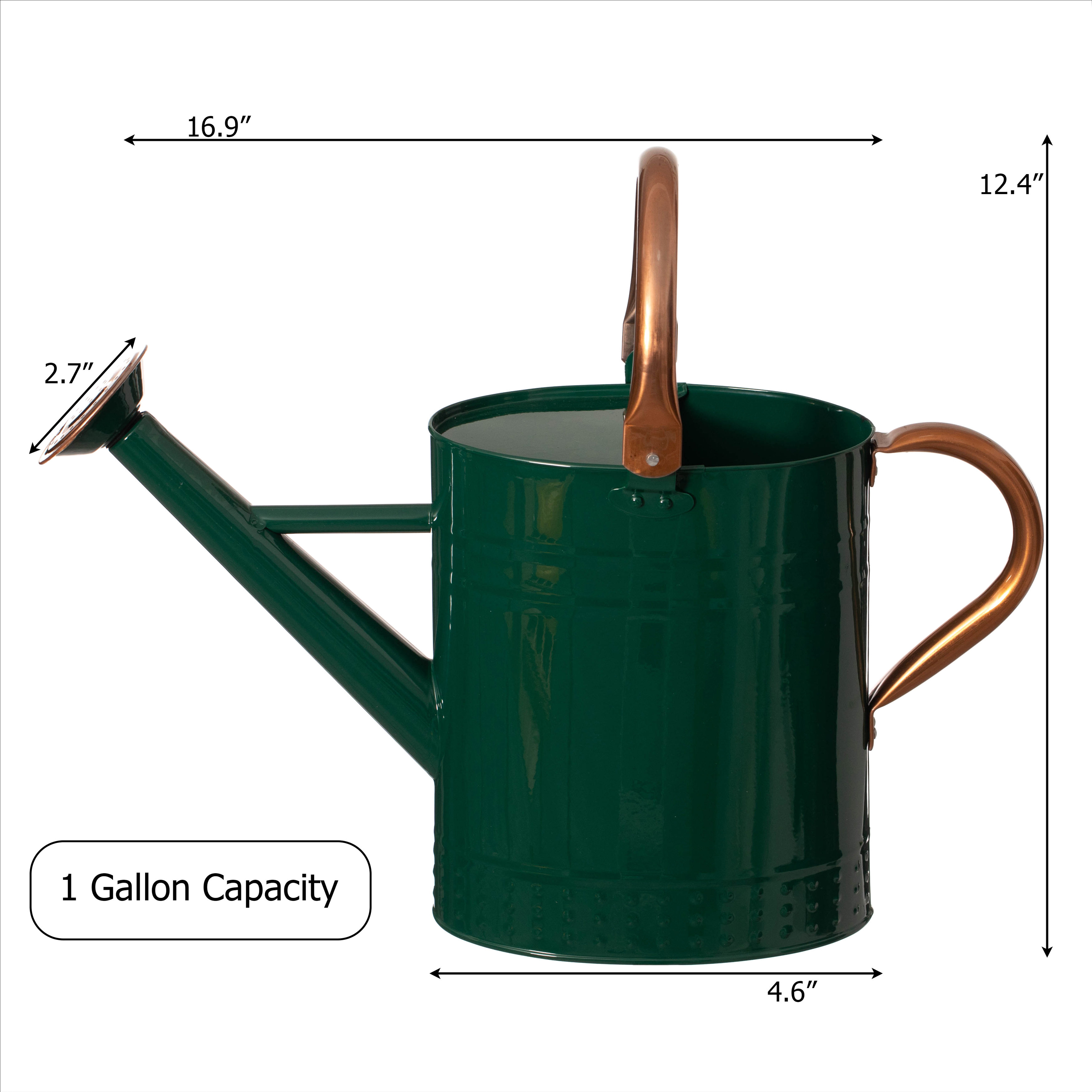 Arlmont & Co. 1 Gallon Galvanized Metal Watering Can With Removable ...