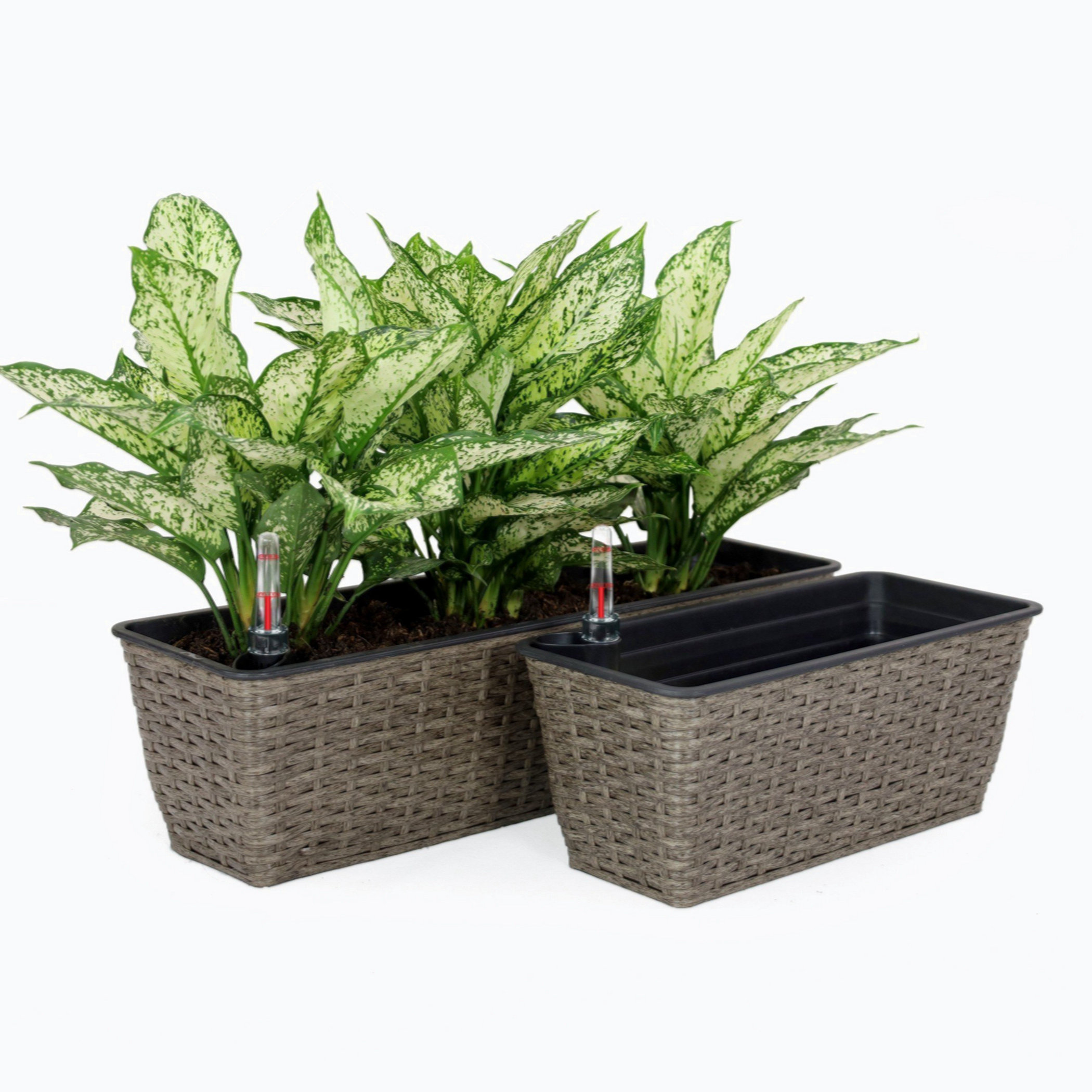 Winston Porter Sekinat 2-Pack Self-watering Planter | Wayfair