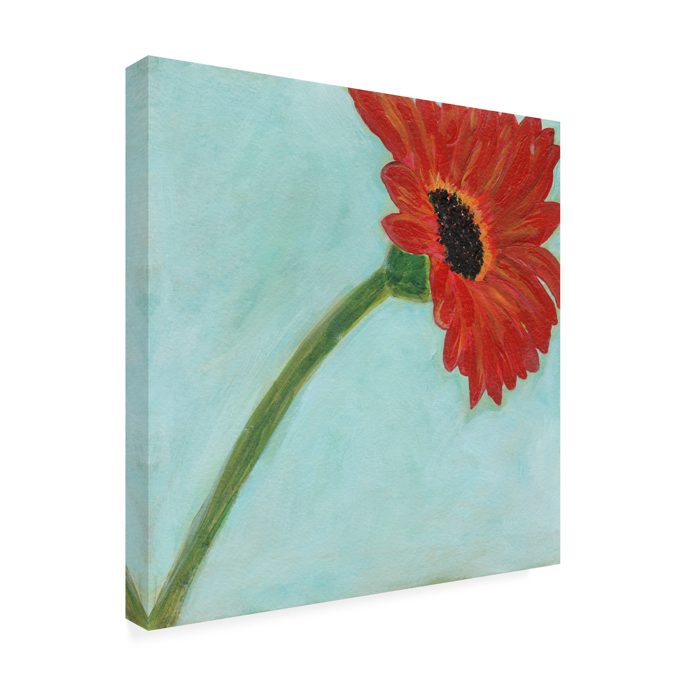 Winston Porter Jodi Fuchs Super Daisy II Canvas Art | Wayfair