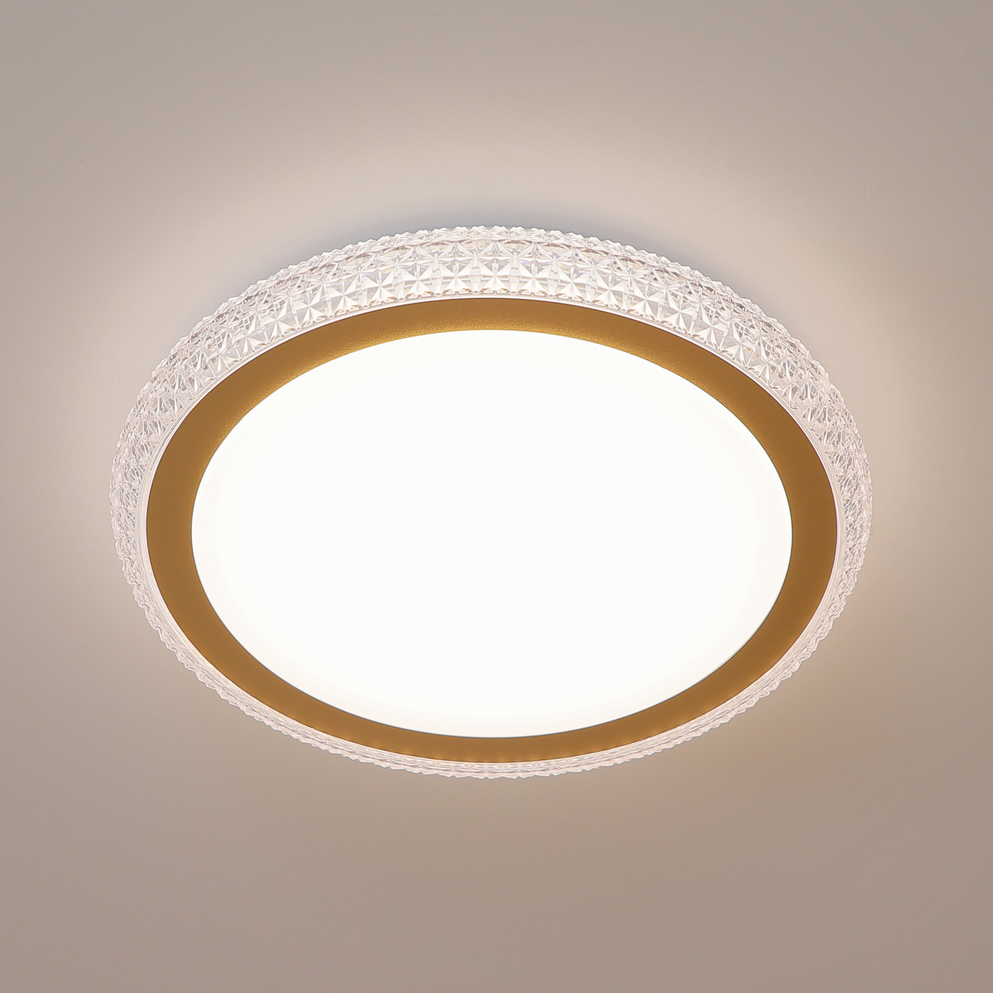 Mercer41 Philisha 16-inch Round LED Flush Mount Ceiling Light with ...