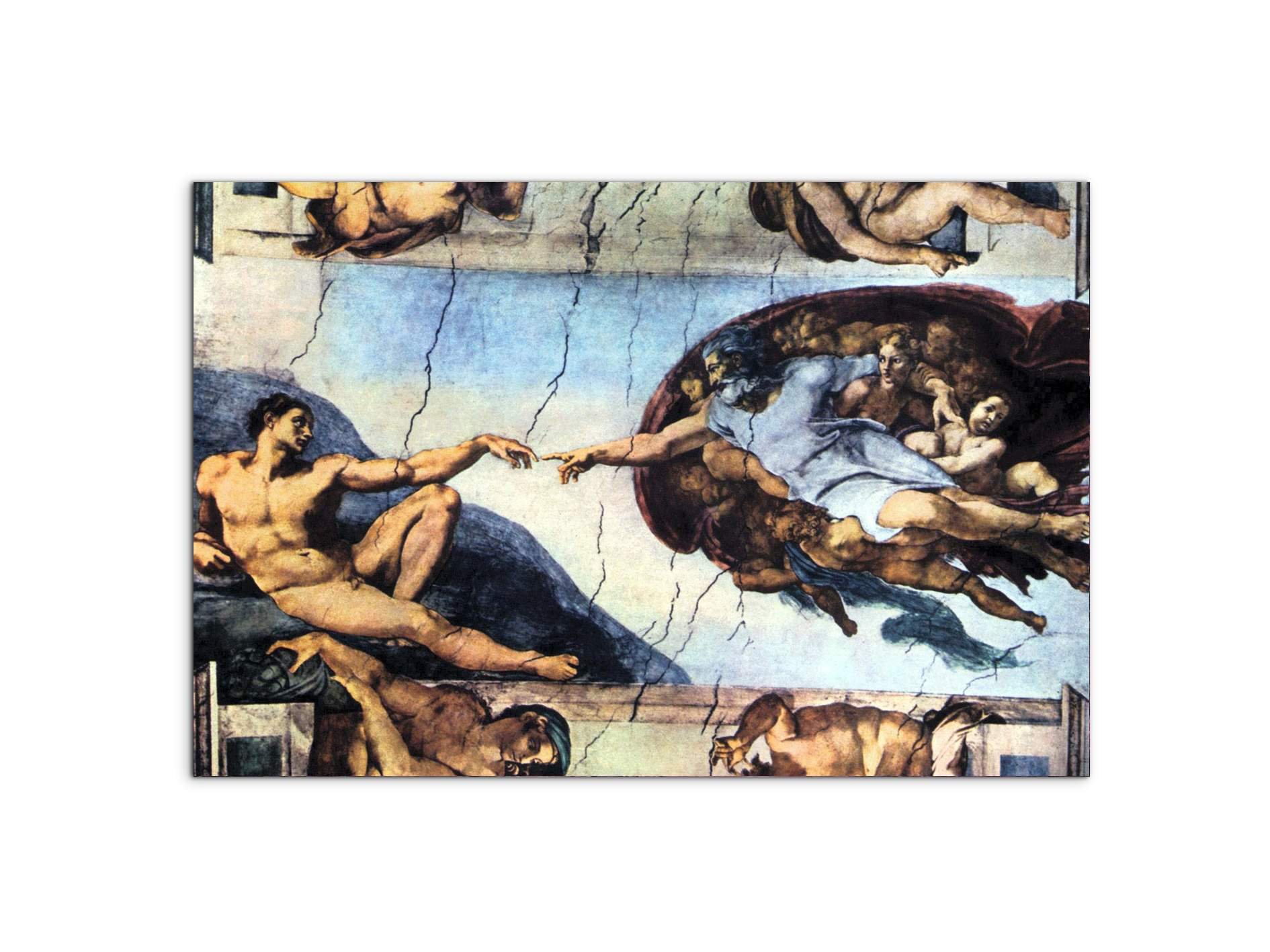 Rosalind Wheeler Creation of Adam by Buonarotti Michelangelo 53×80 cm ...