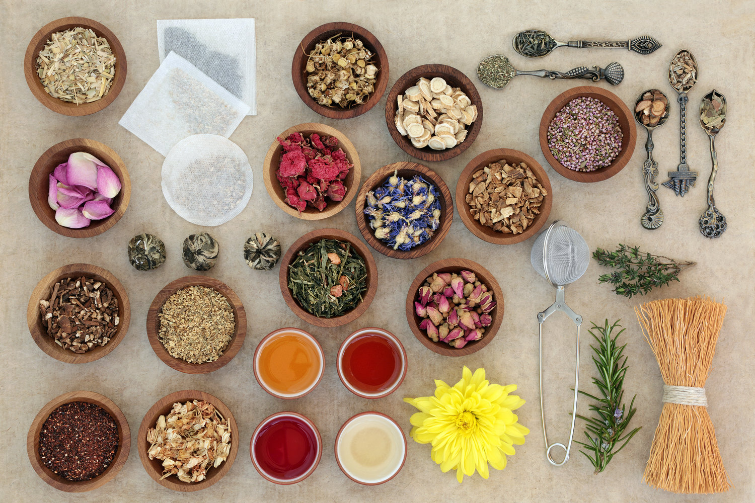 Ebern Designs Herb Teas for Good Health - Wrapped Canvas Photograph ...