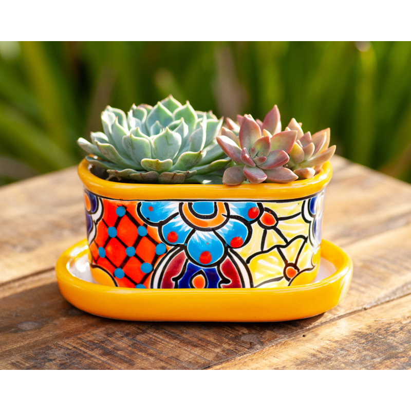 Bungalow Rose Ayvah Handmade Mexican Talavera Pottery MINI Ceramic ...
