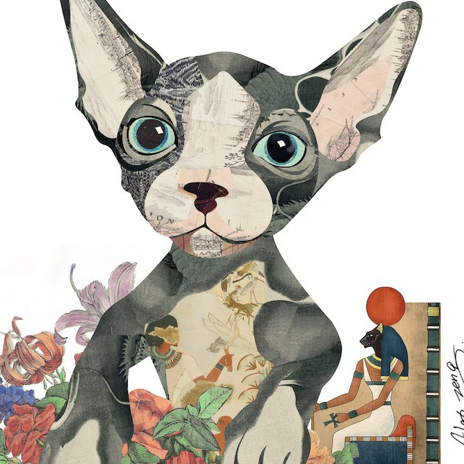 Latitude Run® " Sphynx " by Alex Zeng on Paper | Wayfair