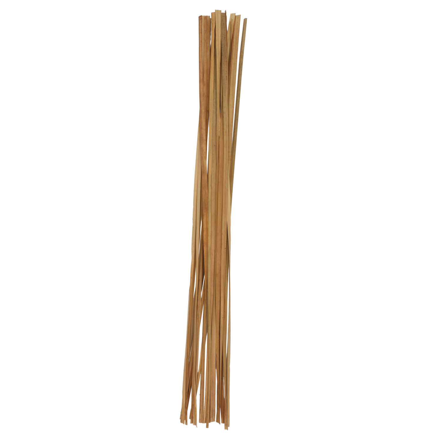 Primrue Cole And Grey Dried Plant Tall Sticks Natural Foliage & Reviews ...