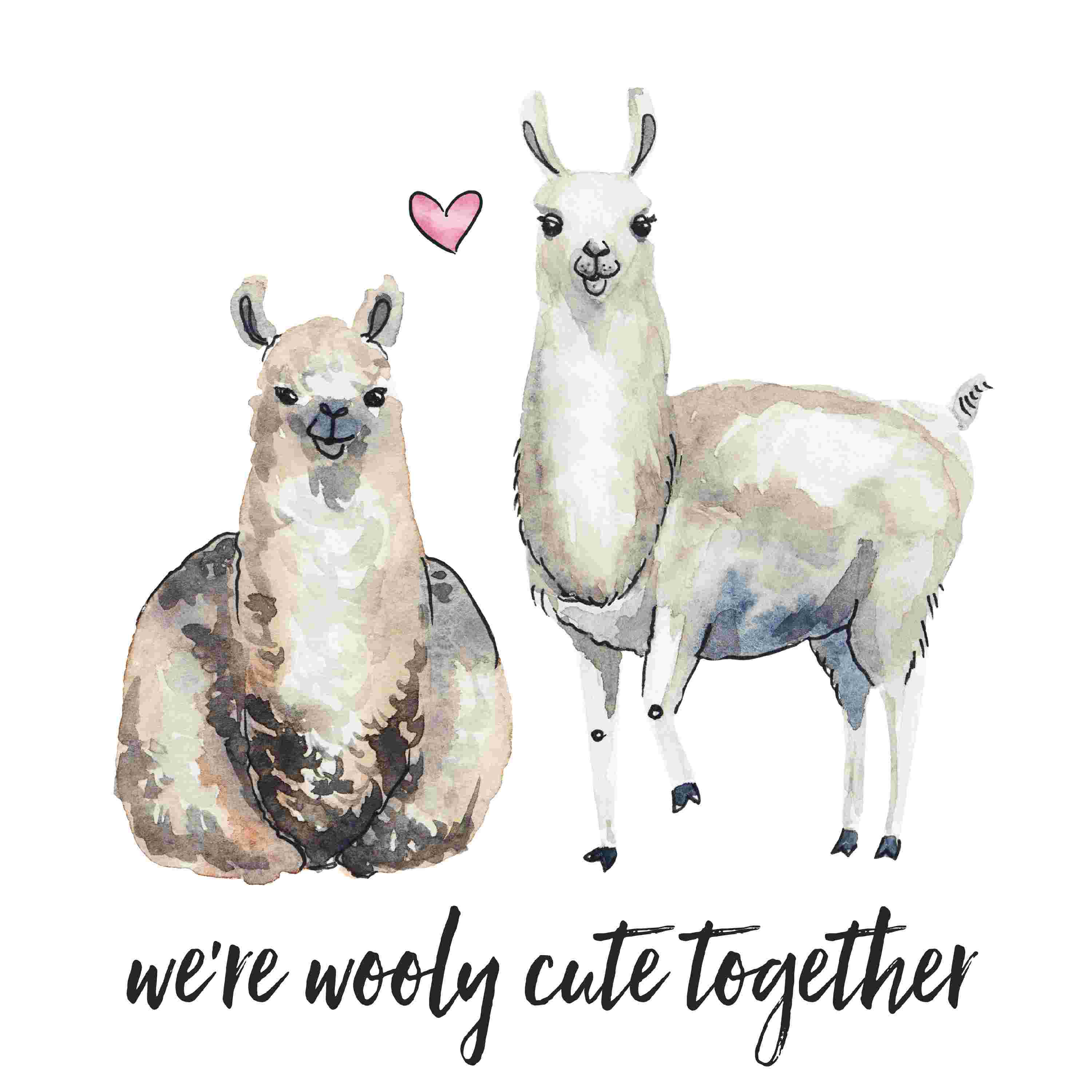 Trinx Wooly Cute Llama - Wrapped Canvas Graphic Art | Wayfair