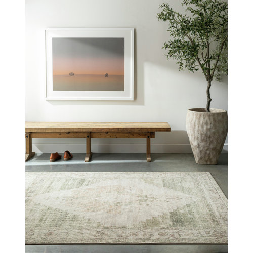 Becki Owens x Livabliss Luca Machine Woven Area Rug & Reviews | Wayfair