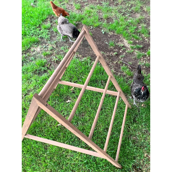 Arlmont & Co. Ridha Roosting Bar | Wayfair