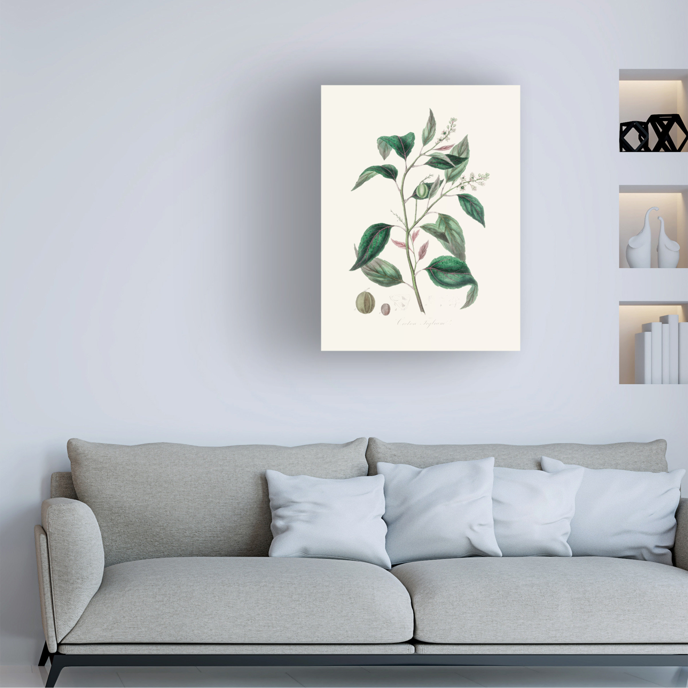 Ebern Designs Bolog John Stephenson And Purging Croton Medical Botany ...