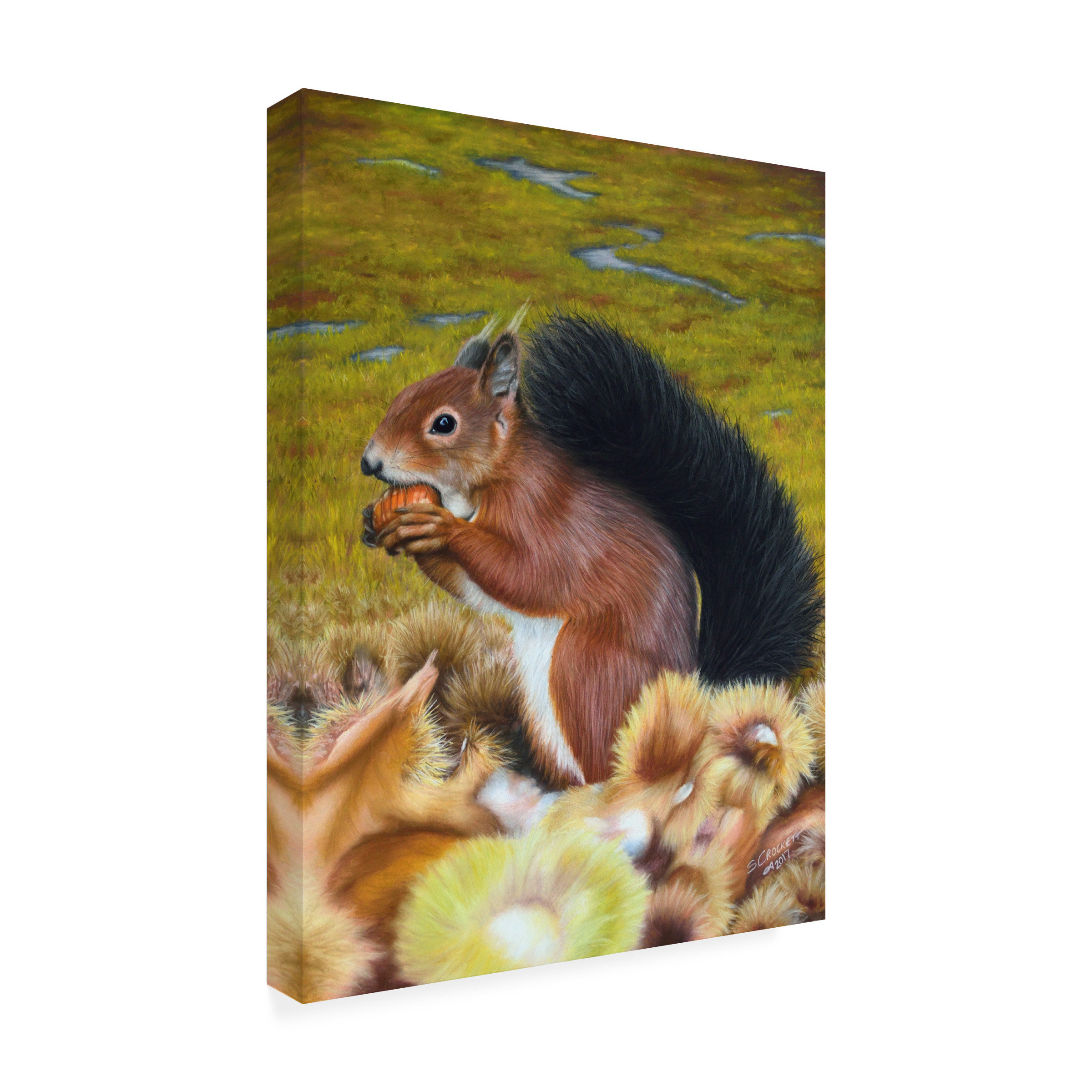 Millwood Pines Red Squirrel Eating Sweet Chestnut On Canvas by Steve ...