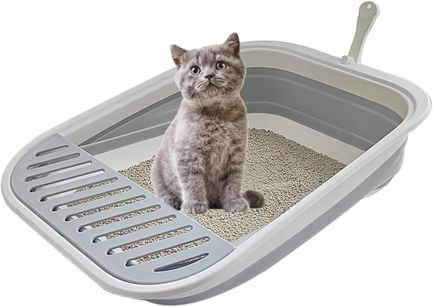Ivy Bronx Collapsible Open Kitten Litter Box | Wayfair