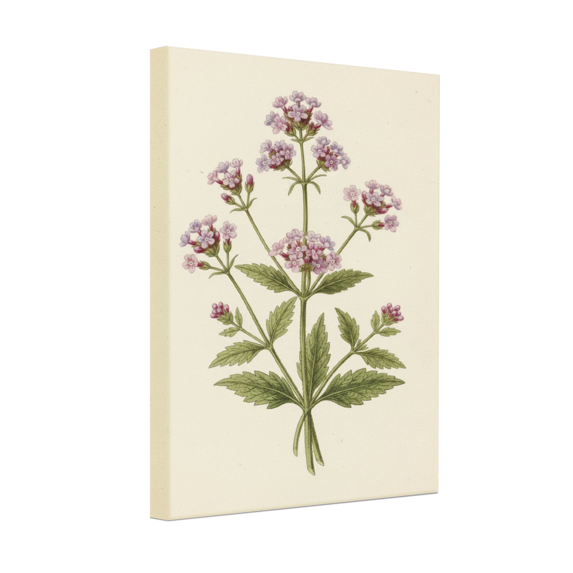 Canora Grey Plants & Flowers Floral Plant With Purple Flowers And Green ...