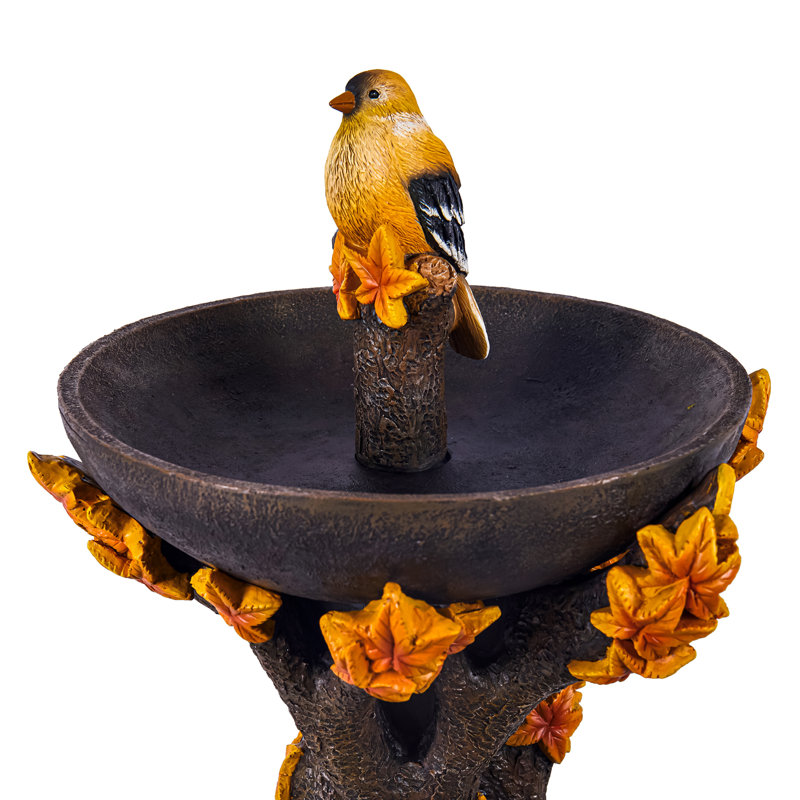 Loon Peak® Dingeman Maple Tree Resin Bird Bath | Wayfair