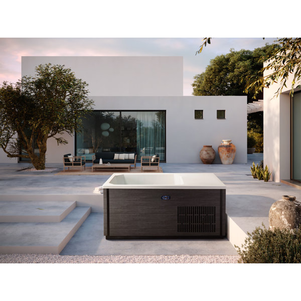 HOME ART Moveable Cold Plunge, built-in Chiller & Heater Ice Tub | Wayfair