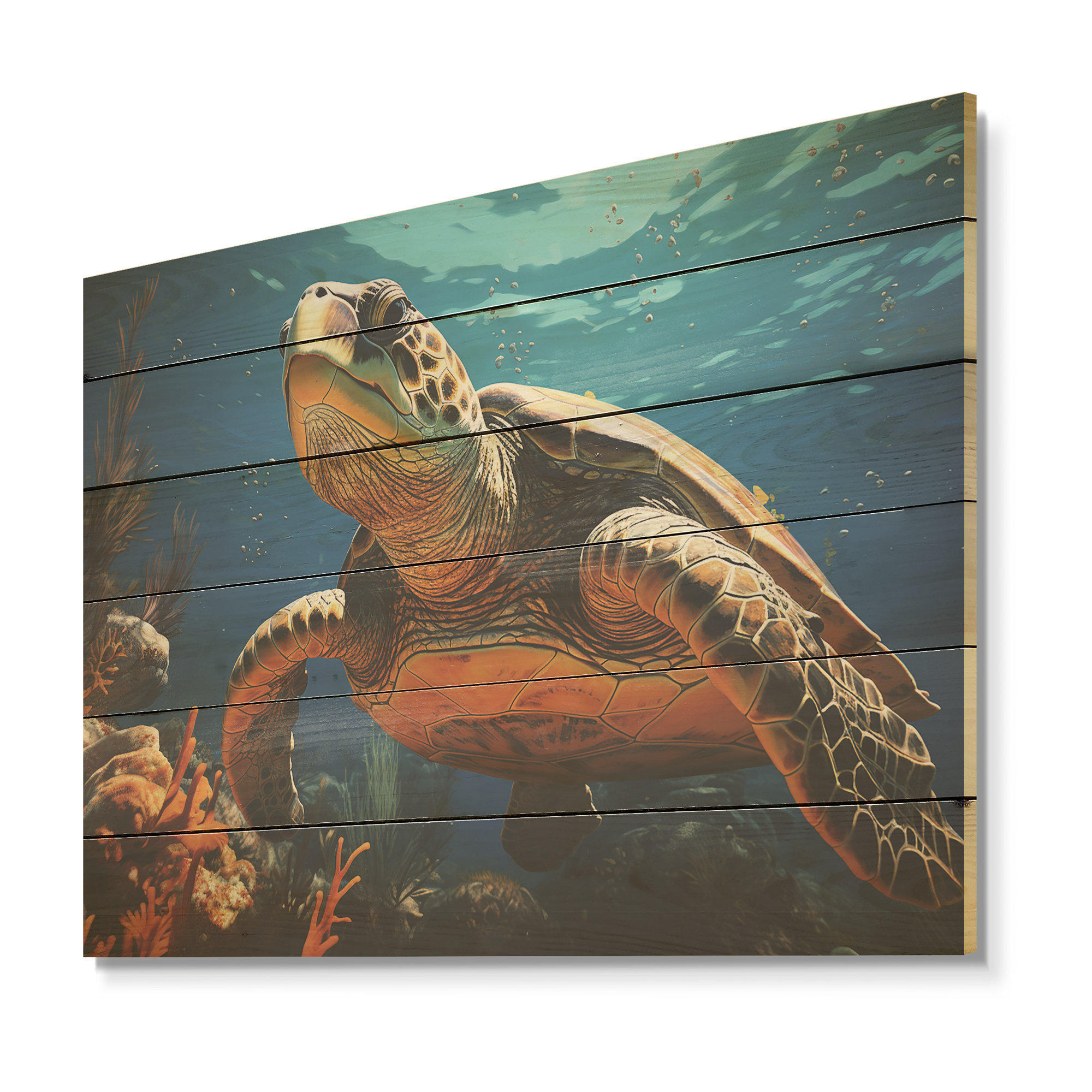 Bay Isle Home™ Classic Art Depiction Of A Turtles Coastal Life - Turtle ...