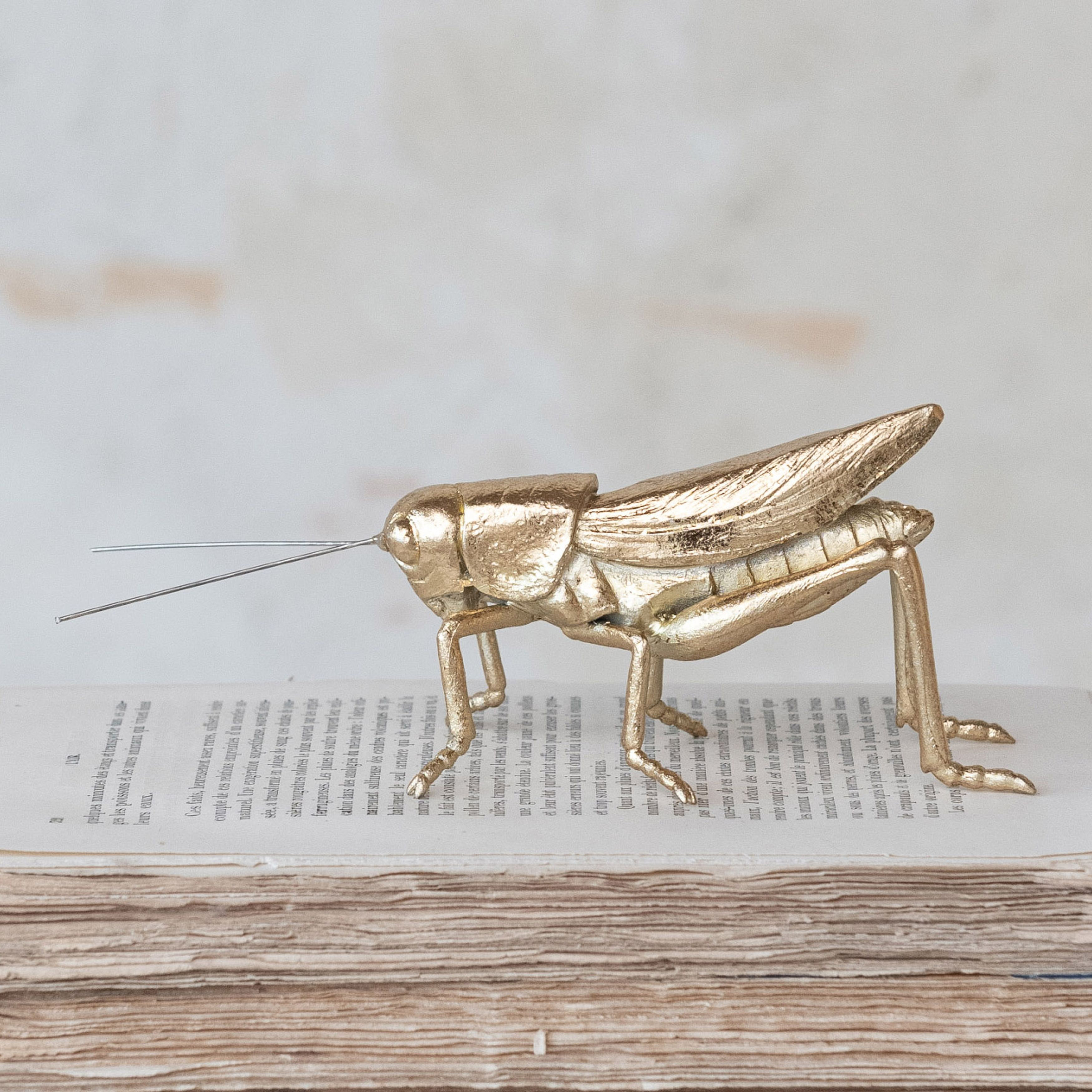 Gracie Oaks Harrill Resin Cricket Figurine | Wayfair