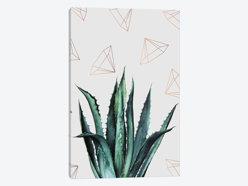 East Urban Home 'Agave Pattern' Graphic Art Print on Canvas - Wayfair ...
