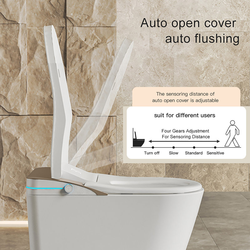 YULIKA Digital Screen Elongated Floor Mounted Bidet Smart Toilet | Wayfair