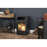 Adam 40Cm W Bio Ethanol Fire | Wayfair.co.uk