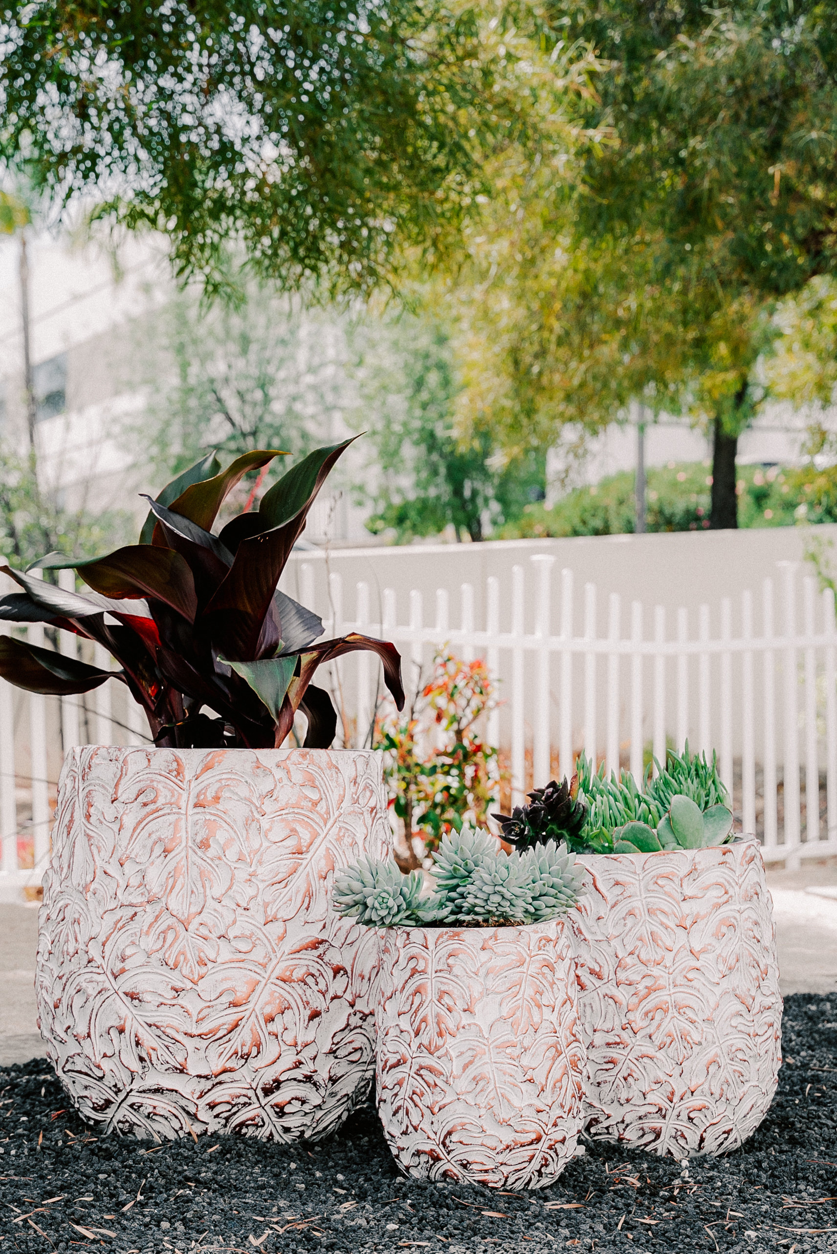 Bay Isle Home Ensemble de 3 pots de fleurs pour l'intérieur et l ...