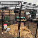 Archie & Oscar™ Epsilon Universal Walk-In Pen & Reviews | Wayfair