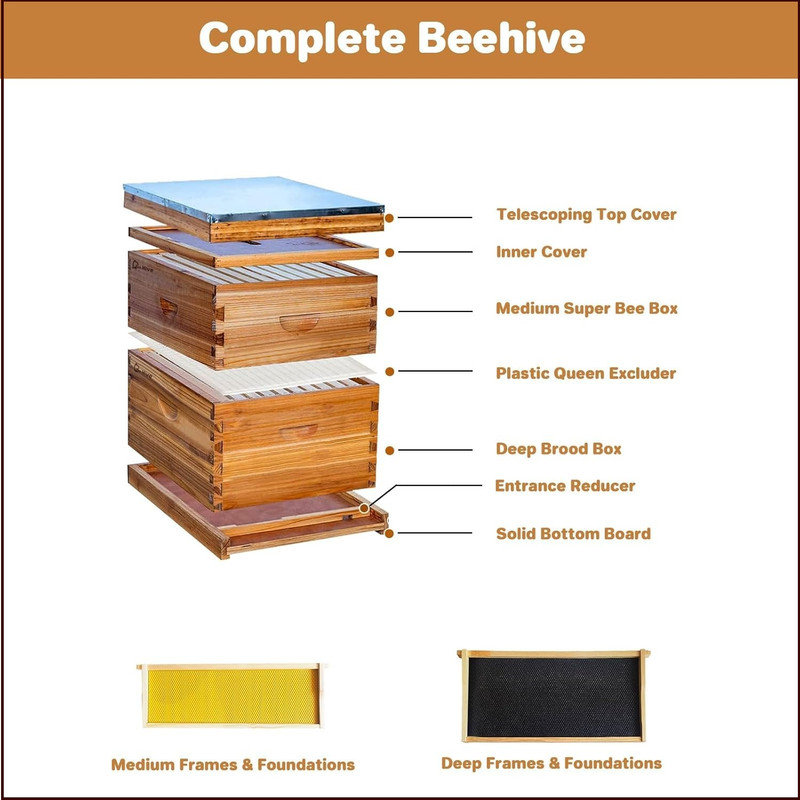 Millwood Pines 10-Frame Bee Hive Starter Kit for Beekeepers Dipped in ...