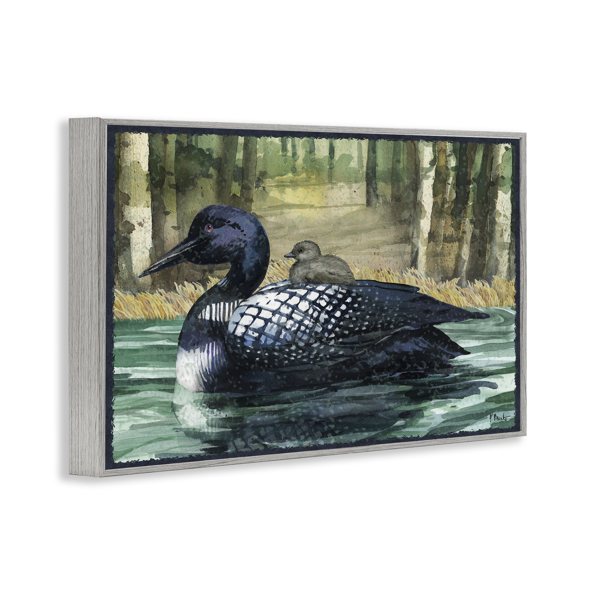 Union Rustic Loon with Baby on Lake Framed Giclee, design by Paul Brent ...