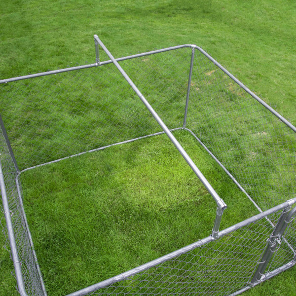 Tucker Murphy Pet™ Kinsella Vertical Bar Type Roof Structure Pipe for ...