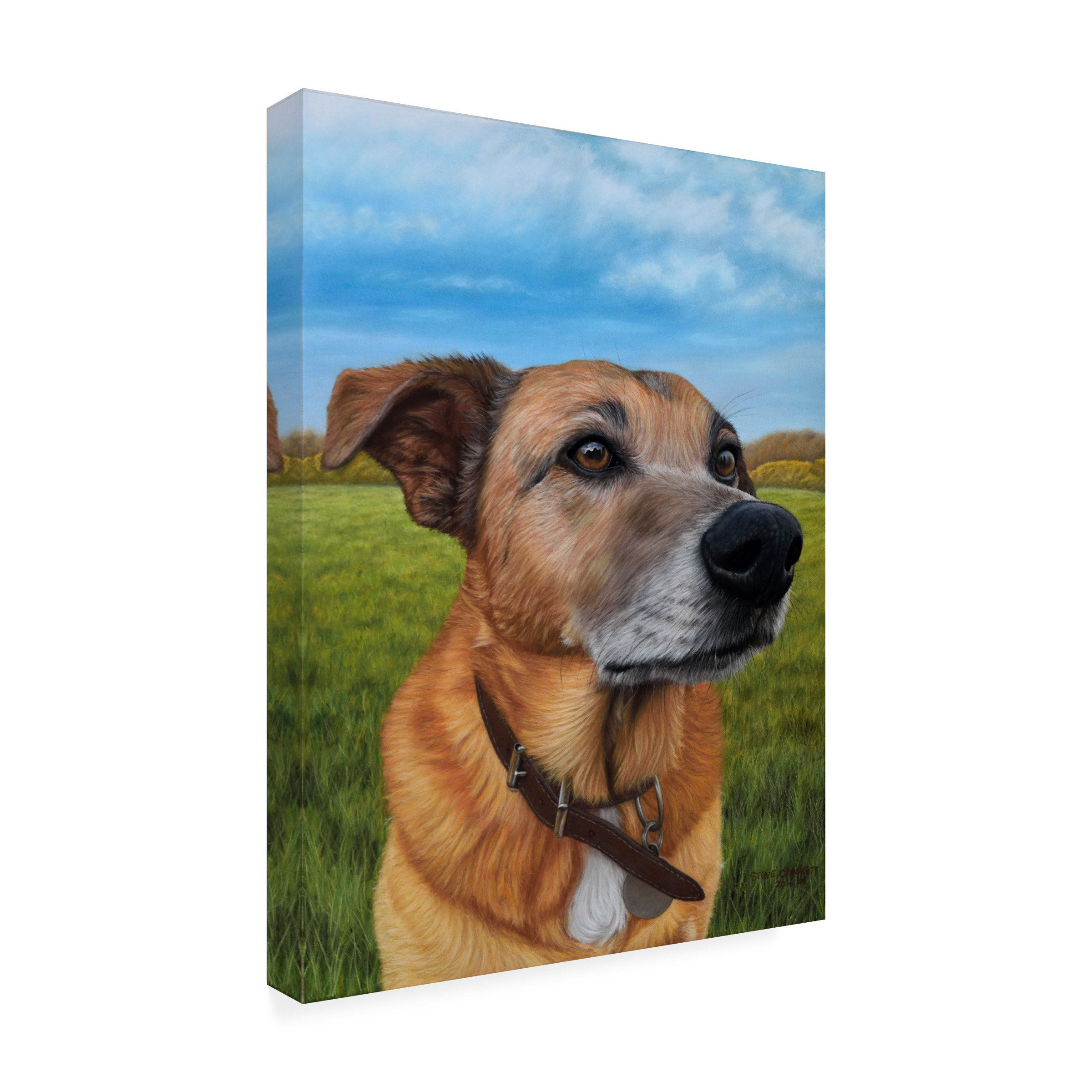 Winston Porter Steve Crockett 'Pet Portrait Of Bear The Dog' Canvas Art ...