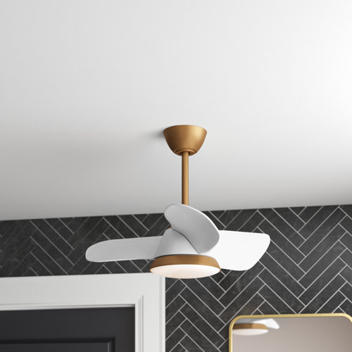 Glam Ceiling Fans With Lights You'll Love | Wayfair