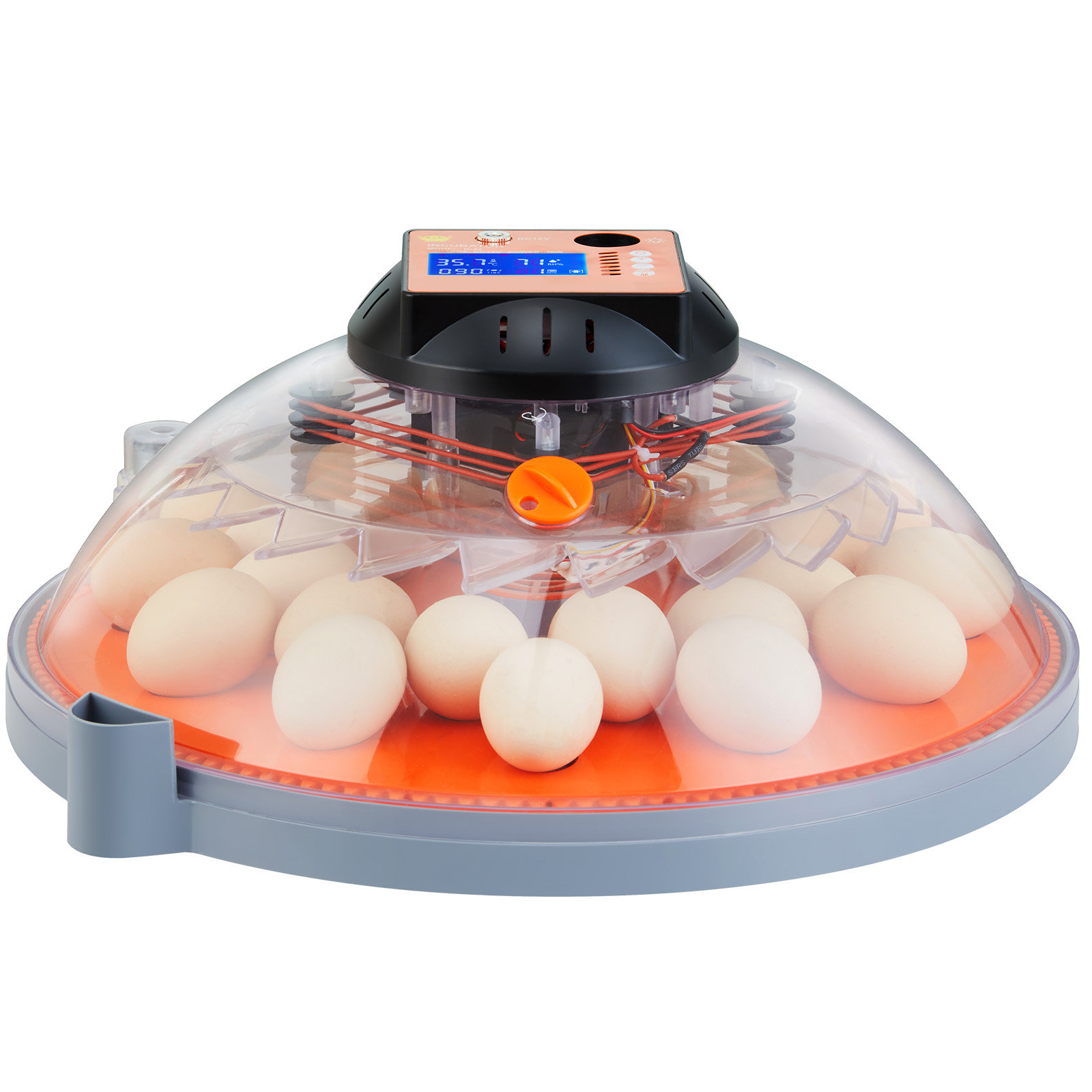 Tucker Murphy Pet™ 48 Egg Incubator, Incubators for Hatching Eggs, 360 ...
