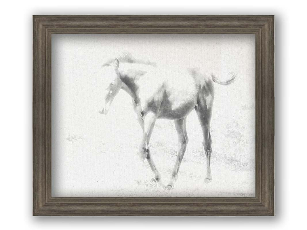 Breakwater Bay Pony in a Paddock by Hal Halli. Paper Print - Mounted ...
