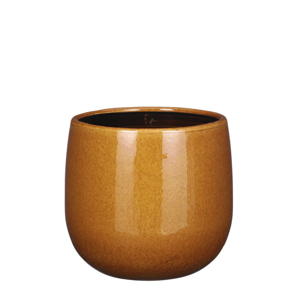 17 Stories Flower pot Cannen | Wayfair.co.uk