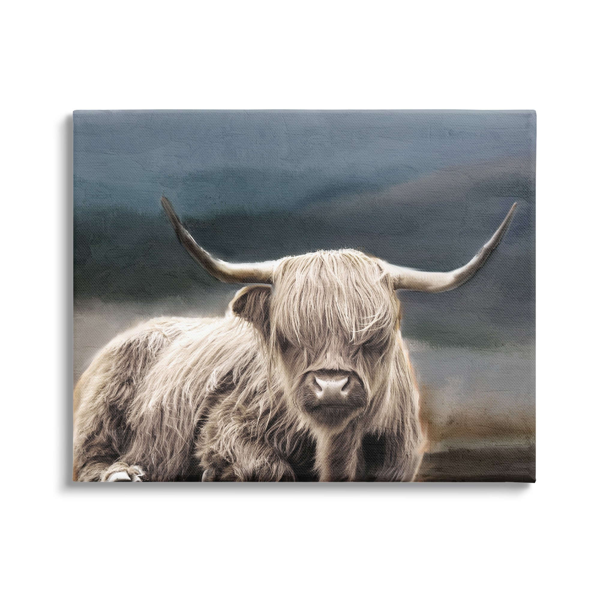 Union Rustic Highland Cow Portrait On Canvas by Kim Allen Print | Wayfair