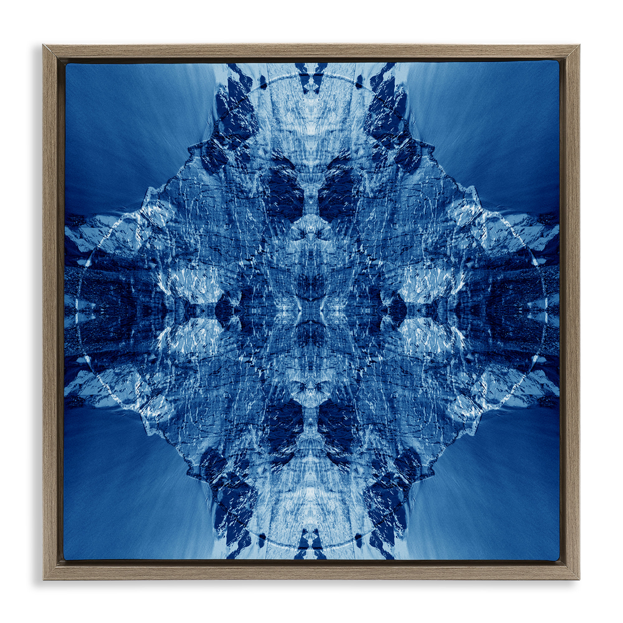 Wrought Studio™ Mirrored Symmetry Pattern Floating Frame Art by El ...