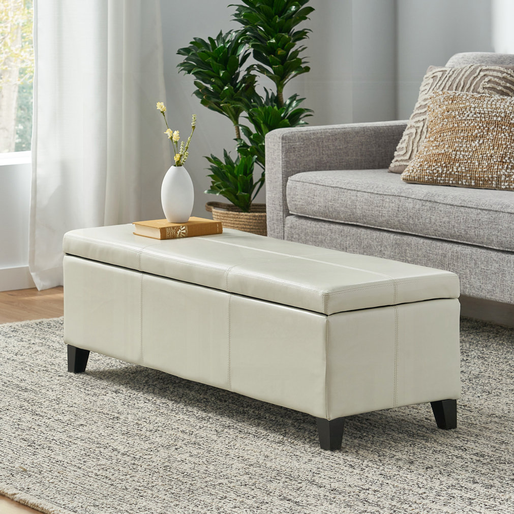 Mercer41 Modern STORAGE OTTOMAN - Wayfair Canada