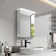 Ivy Bronx Chavonte Wall Mounted Bathroom / Vanity Mirror in Silver ...