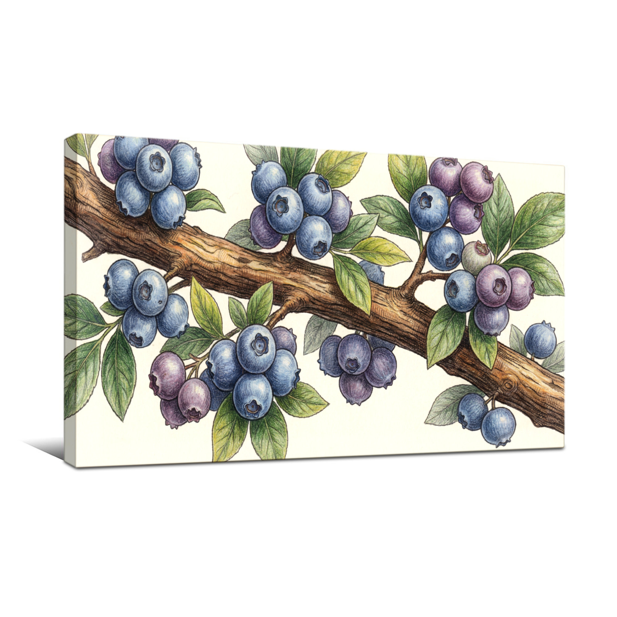 Canora Grey Plants &Flowers Blueberry Branch With Green Leaves And ...