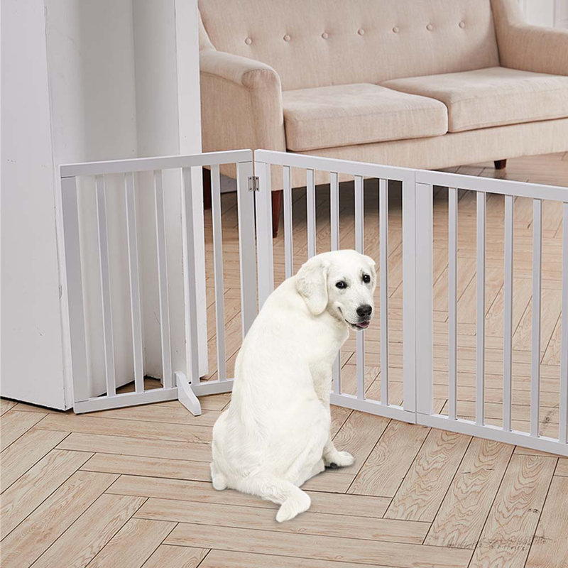 Archie & Oscar Liz Z-Shape Pet Gate Foldable and Free Standing Dog ...