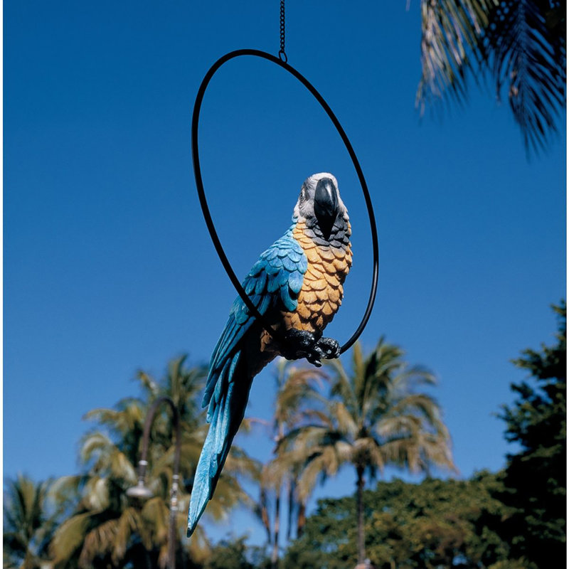 Design Toscano Polly in Paradise Parrot Statue & Reviews | Wayfair